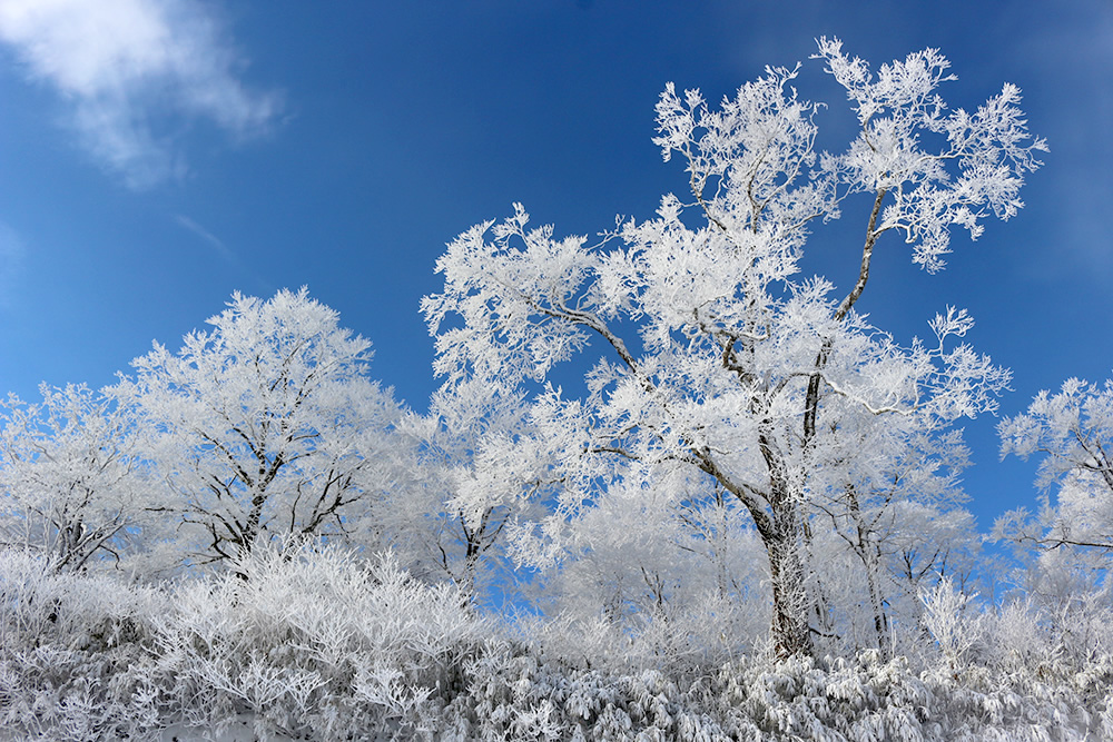beach cafe TAKASU TERRACE（タカステラス） ｜ 高鷲スノーパーク